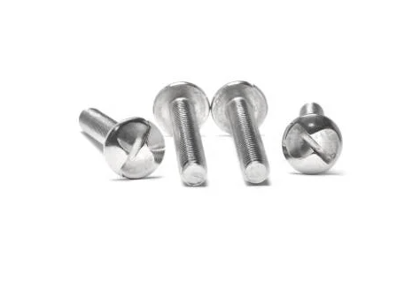 Safety one-way screw